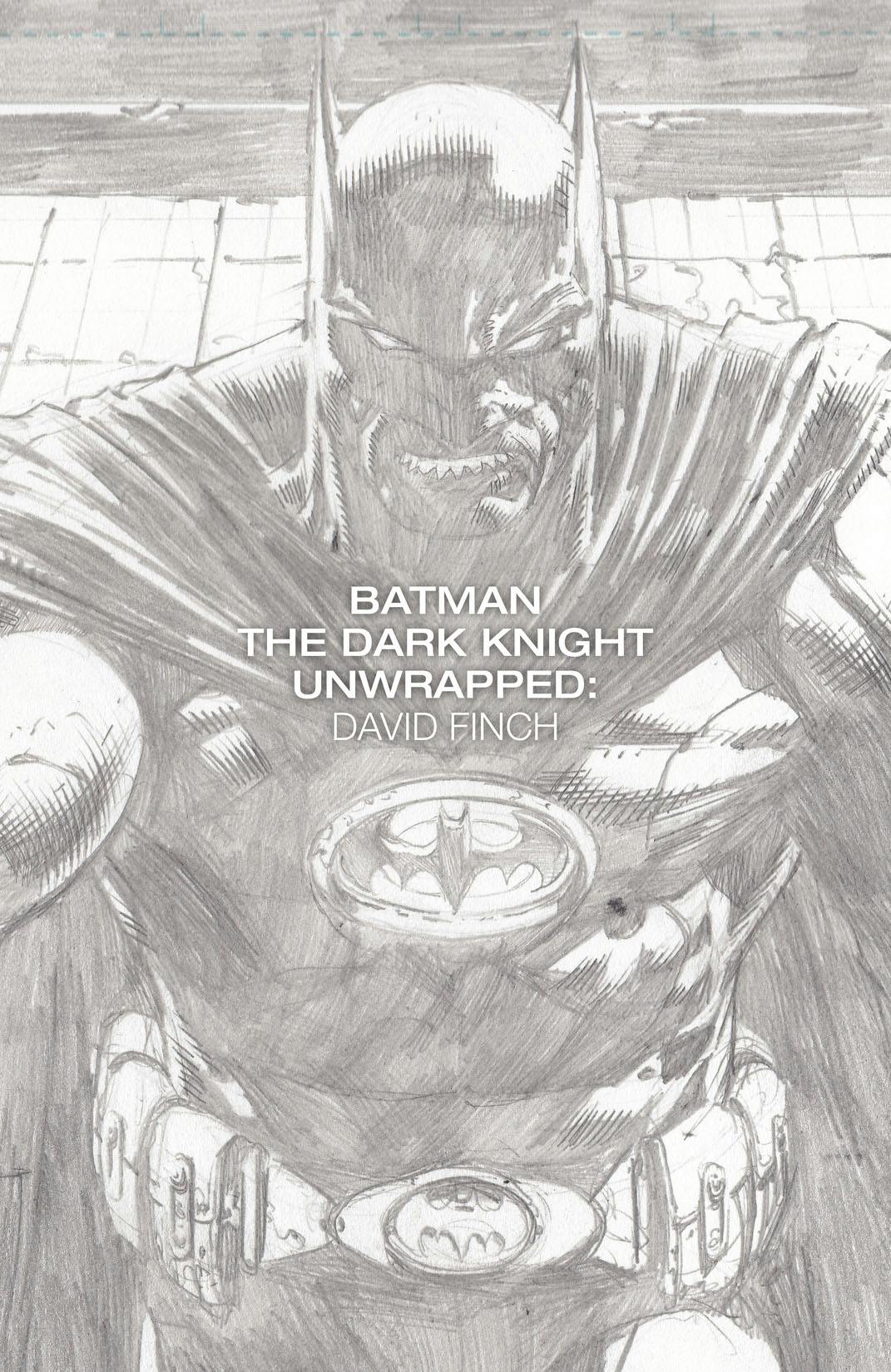 Lapis Do Batman David Finch