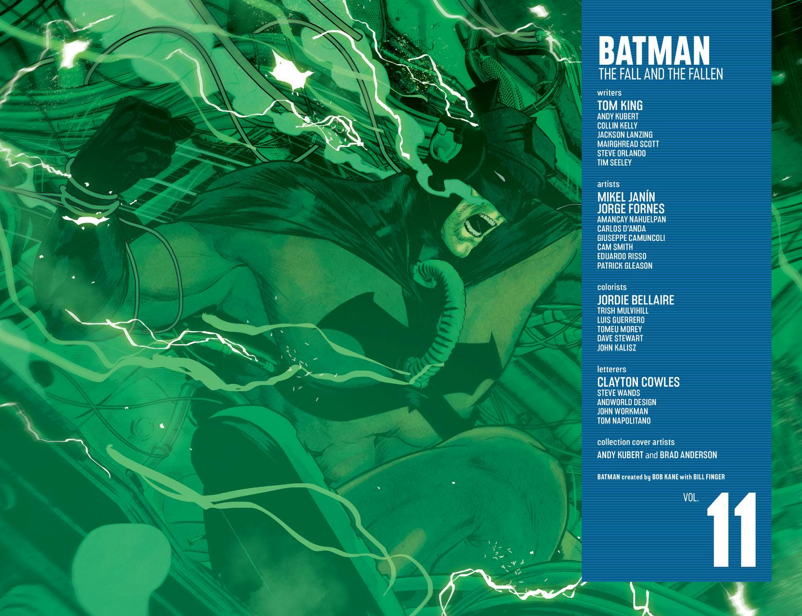 Batman Vol. 11: The Fall and the Fallen