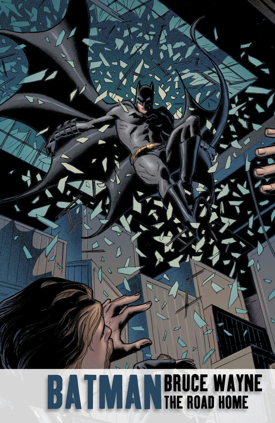 Batman: Bruce Wayne - The Road Home